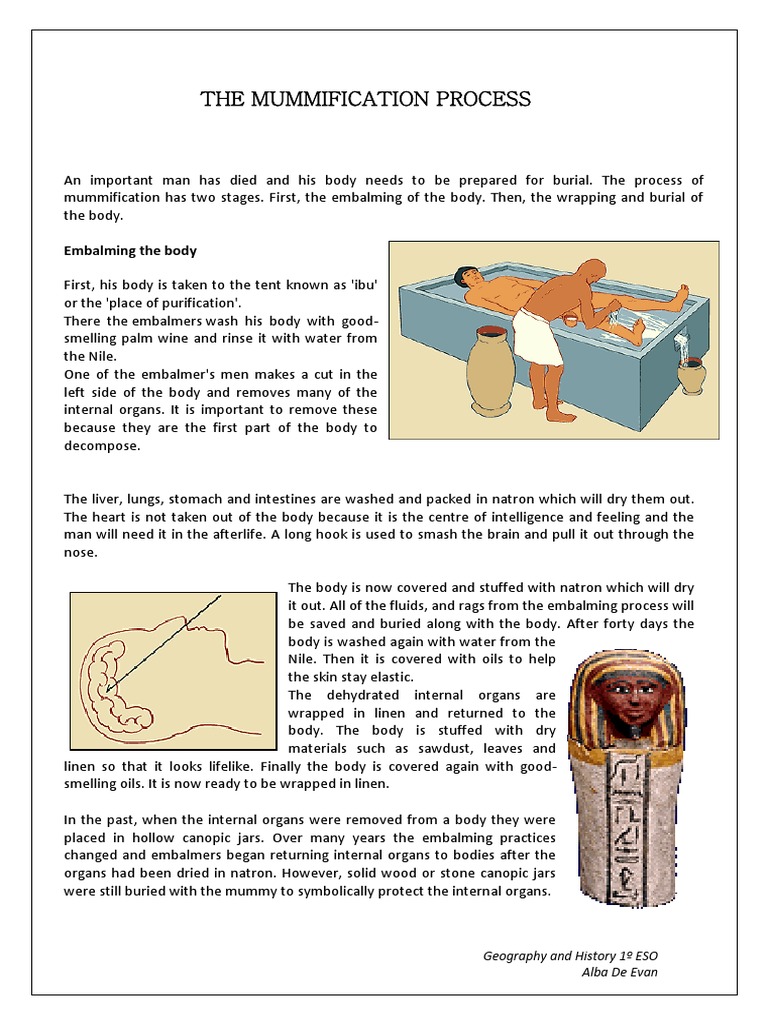 Mummification Process | Download Free PDF | Mummy | Cultural Aspects Of ...