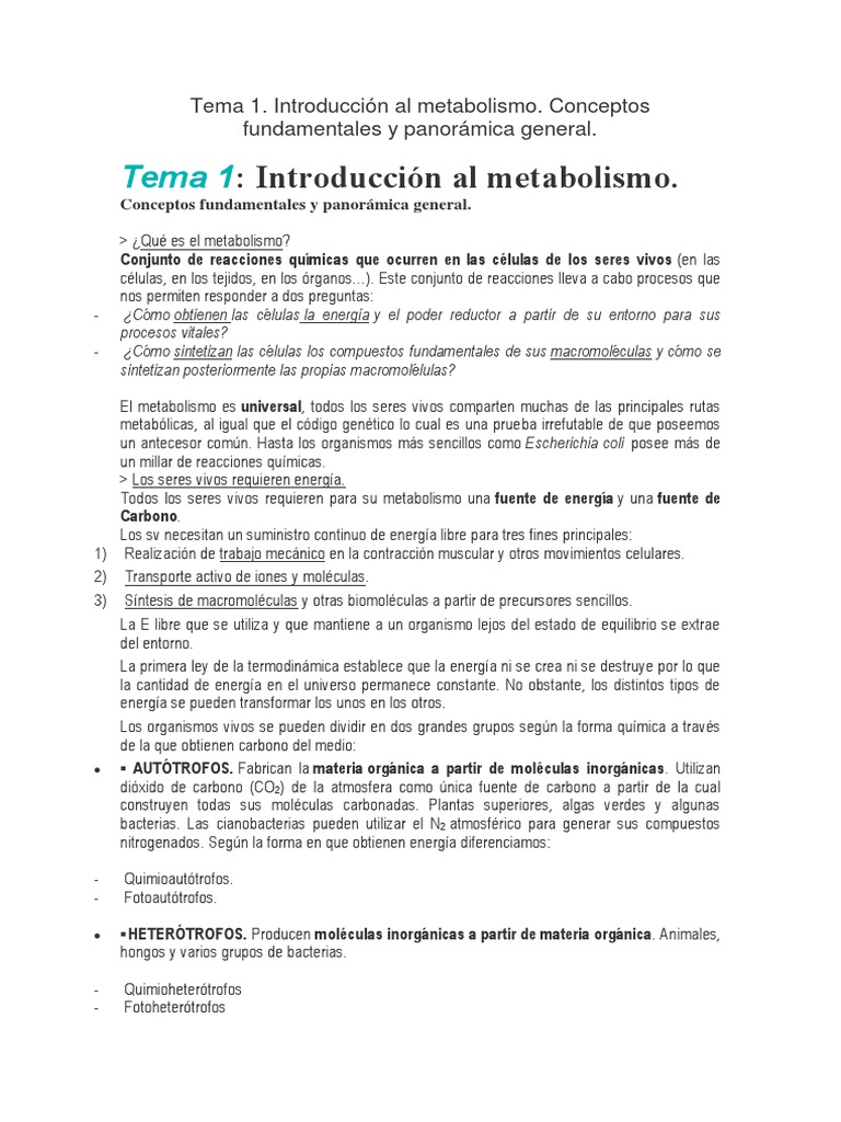 Bioquimica II Apuntes | PDF | Glucólisis | Metabolismo