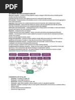 06 - IB Biology 2023 New Syllabus A2.2 Cell Structure PowerPoint ...