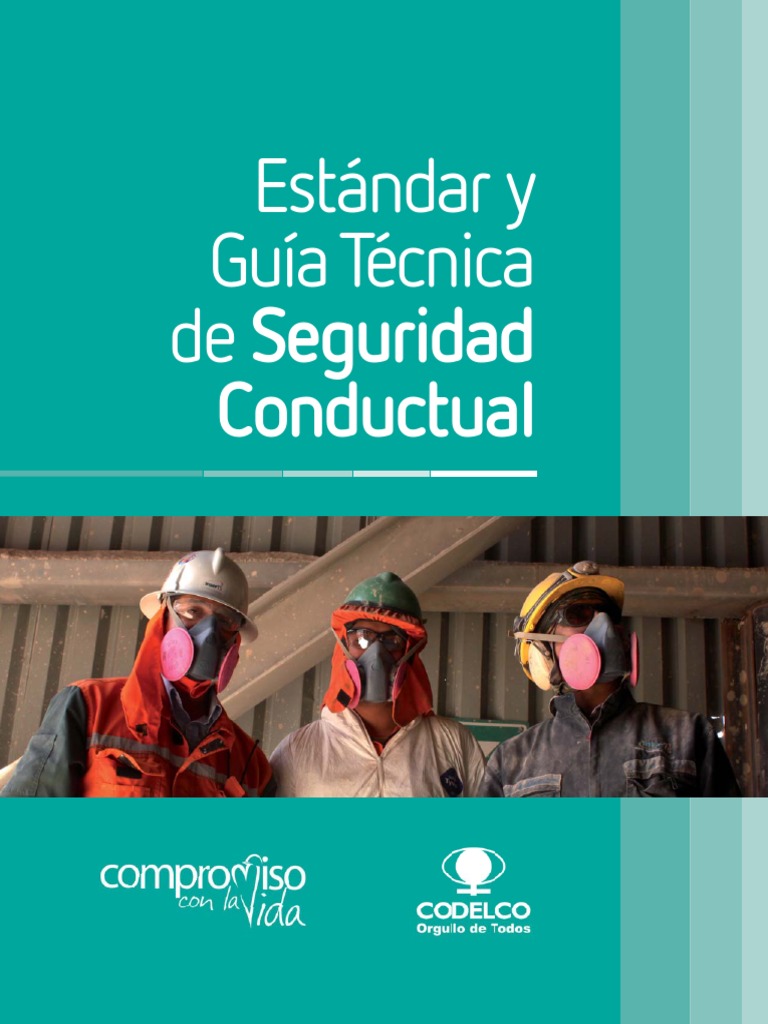 Estándar y Guía Técnica de Seguridad Conductual | PDF | Comportamiento ...