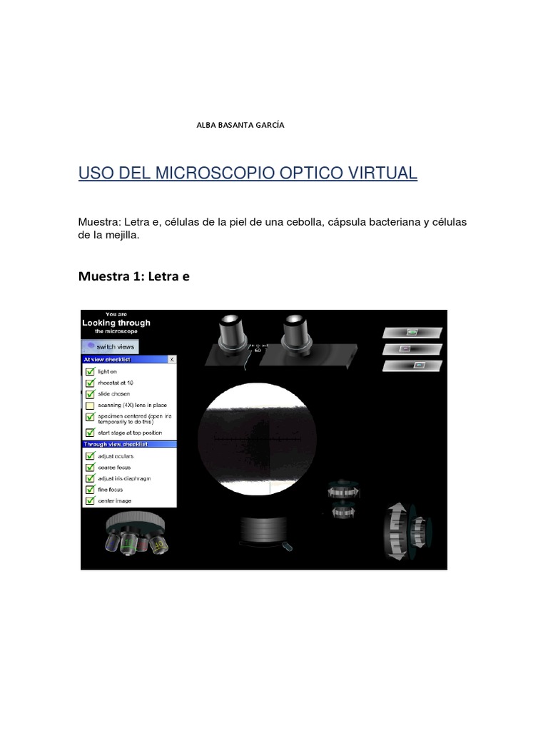 Microscopio Virtual | PDF