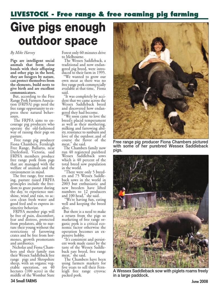 The Benefits of Free Range Pig Farming: Allowing Pigs to Express Their ...