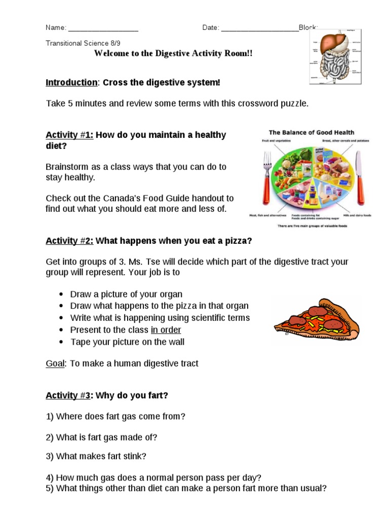 3 - Digestive System Activity Room - Student | PDF | Wellness