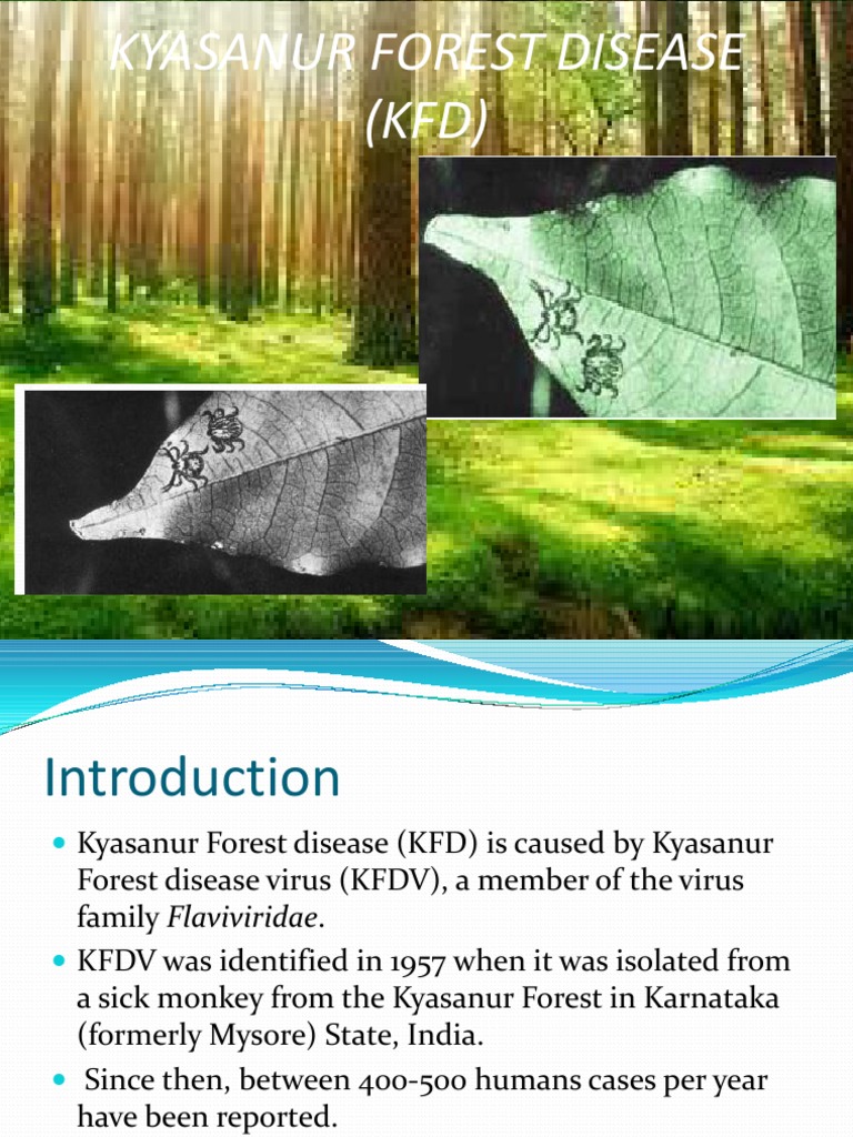 KFDV | PDF | Transmission (Medicine) | Diseases And Disorders