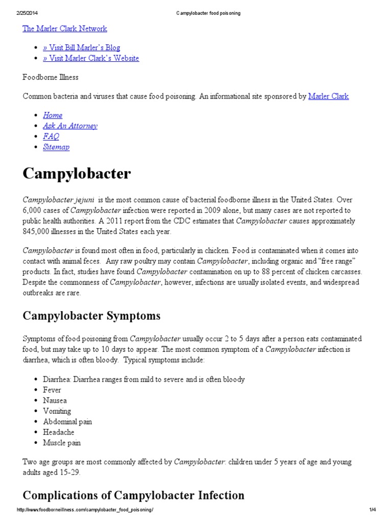 Campylobacter Food Poisoning | PDF | Foodborne Illness | Infection