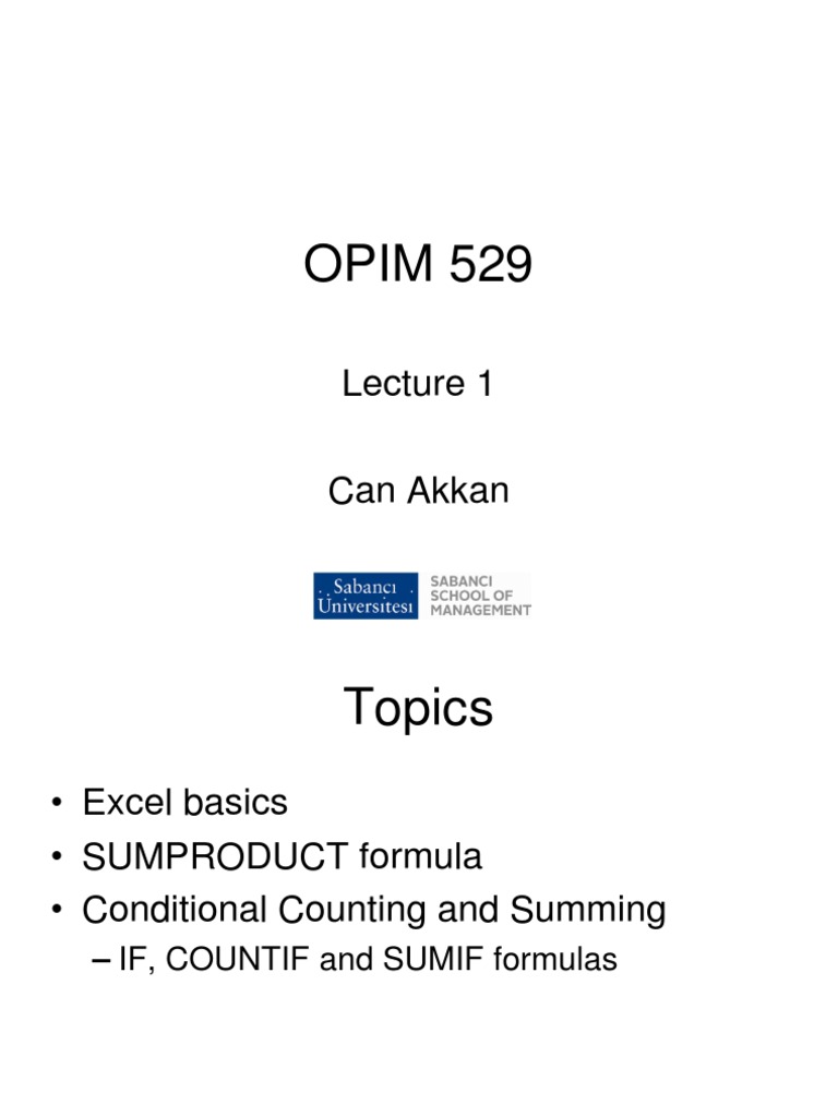 Lec01 Intro Basics | PDF | Spreadsheet | Computing