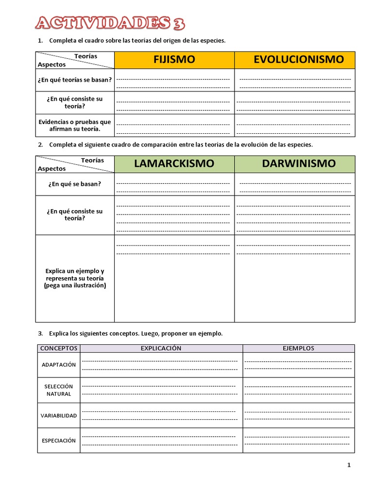 Actividades 4 Evidencias de Evolución en Los Seres Vivos | PDF