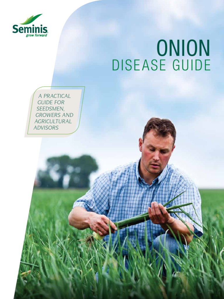 Onion Disease Guide | PDF | Onion | Branches Of Botany