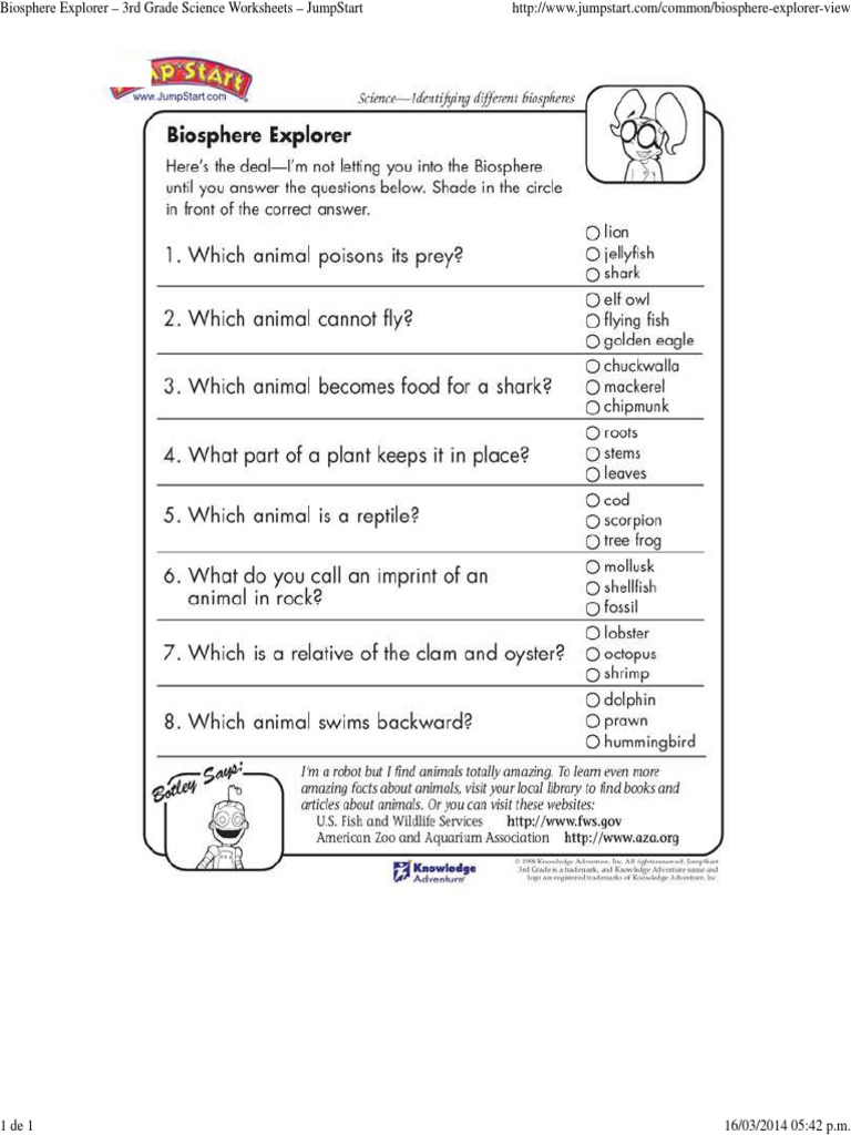 3rd Grade Biosphere Worksheets | PDF