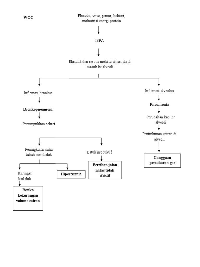 Pathway Pneumonia