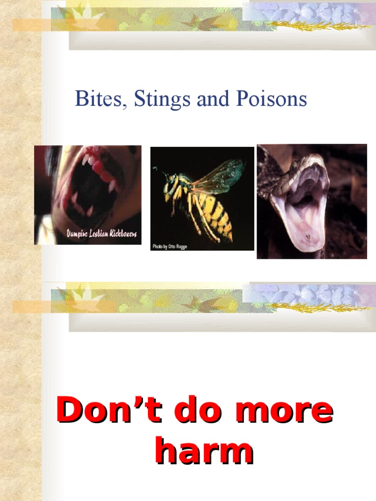 Bites & Stings: First Aid Guide | PDF | Rabies | Poison