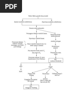Pathway Penyakit Jantung Bawaan | PDF