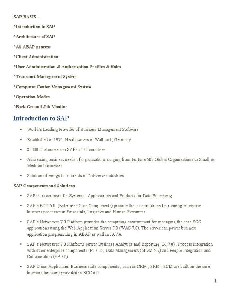 Basis | PDF | Database Transaction | Sap Se