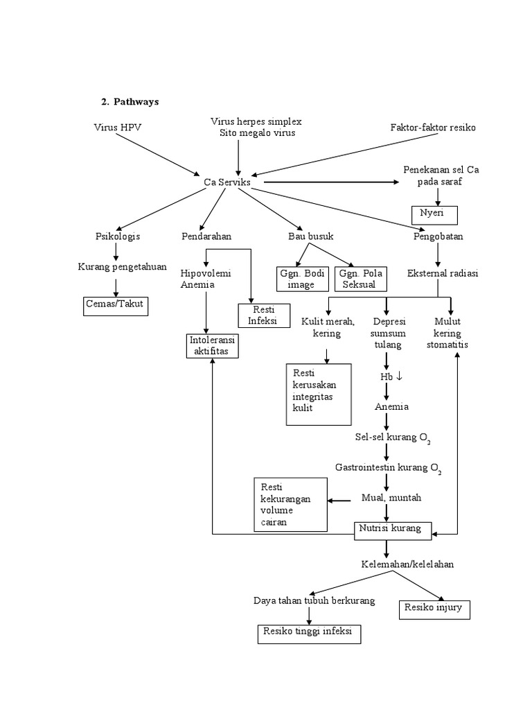 Pathways to Cervical Cancer Management | PDF | Self-Improvement