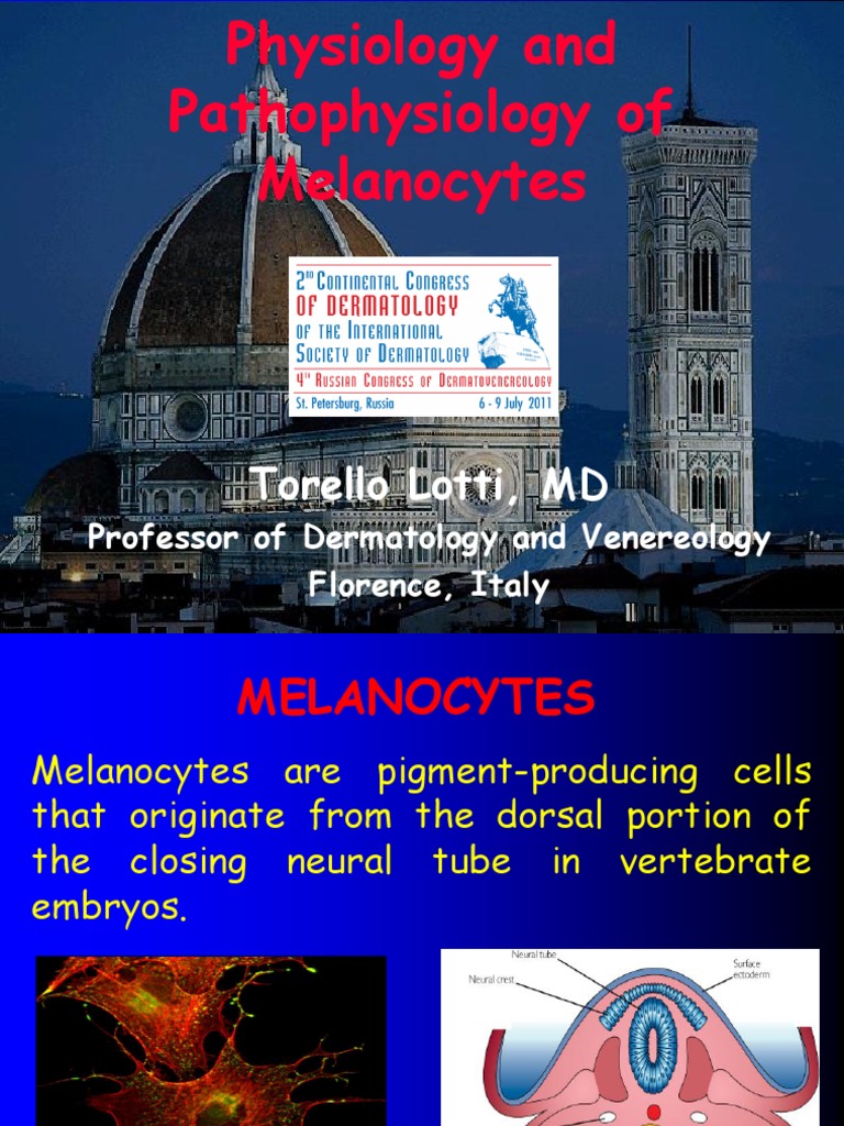 Torello Lotti, MD: Professor of Dermatology and Venereology Florence ...