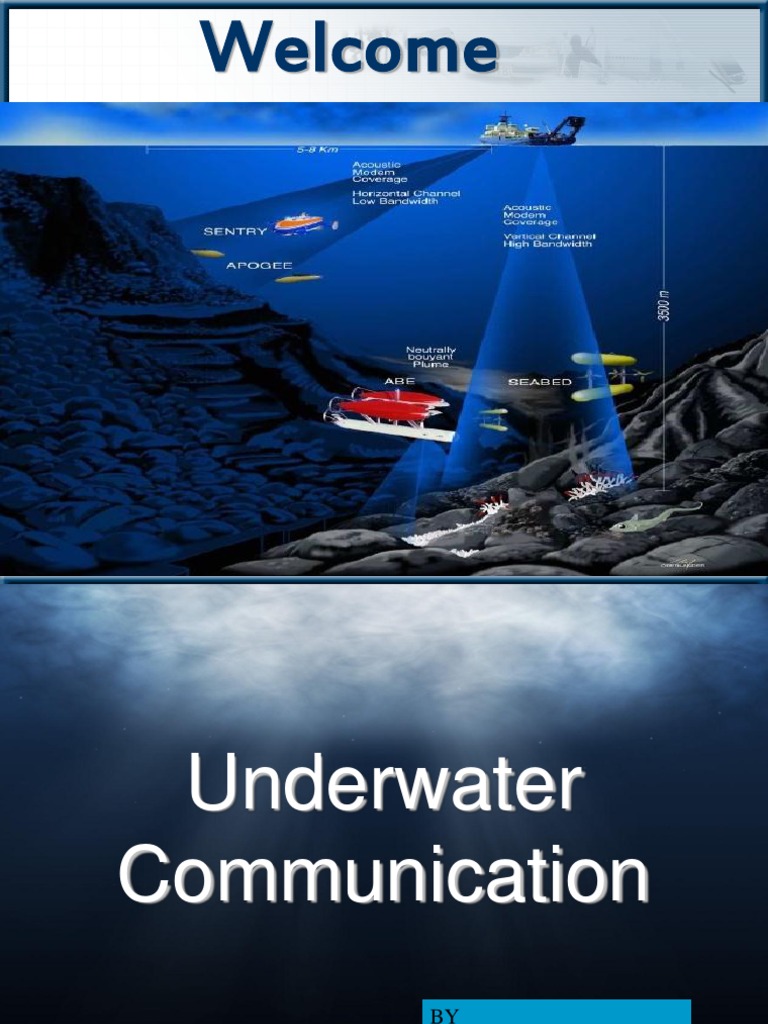 Enabling Real-Time Ocean Monitoring: An Overview of Underwater ...