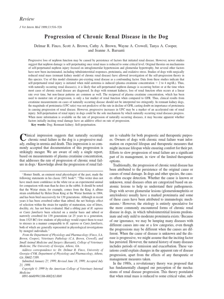 Chronic Renal Disease Progression in Dogs | PDF | Renal Function ...