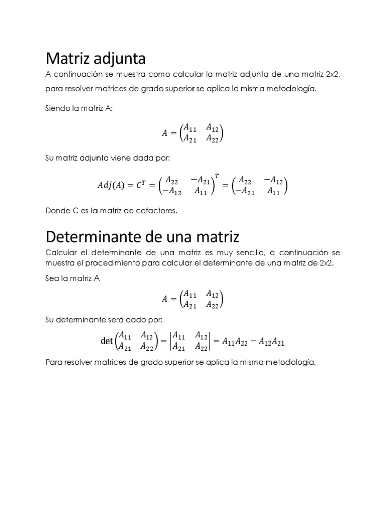 Matriz Adjunta | PDF