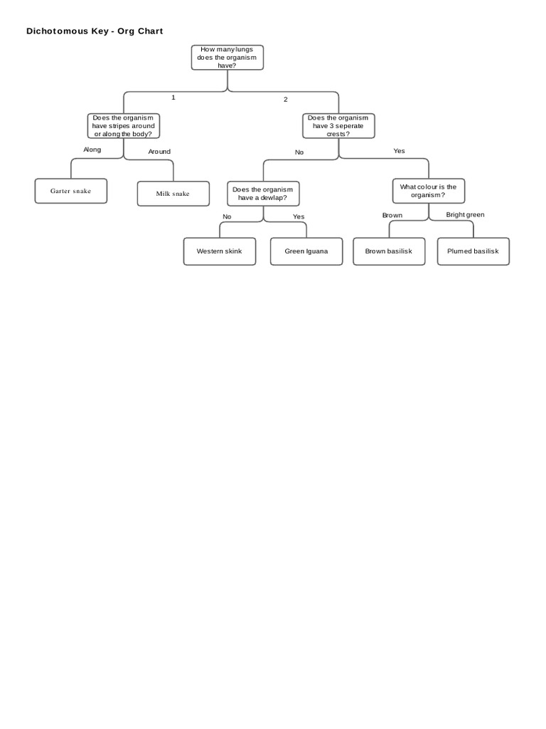 Dichotomous Key for Reptile Identification | PDF | Lizard | Reptiles Of ...