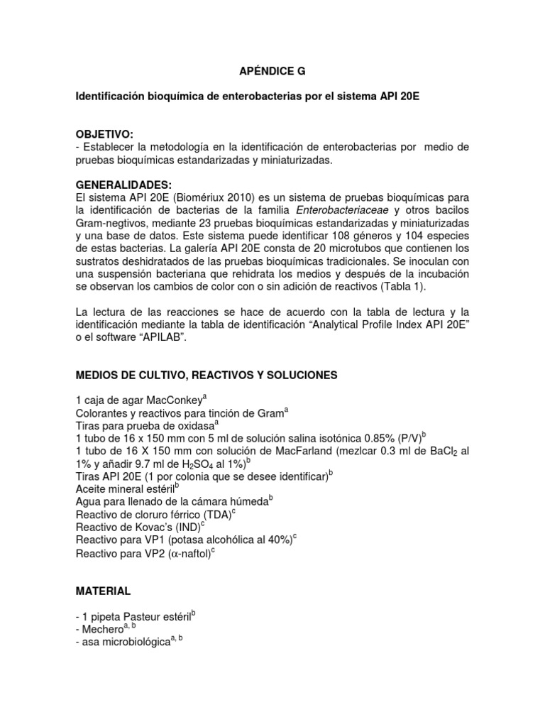 Identificación de Enterobacterias API 20E | PDF | Ciencia y matemáticas ...