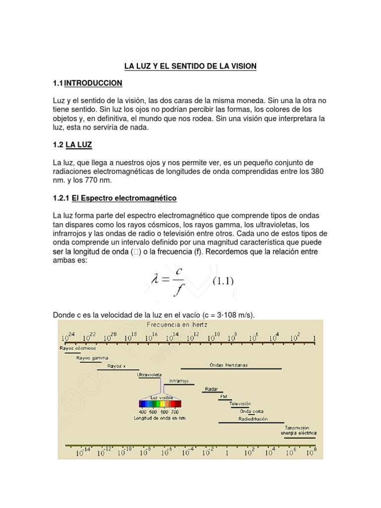La Luz y El Sentido de La Vision | PDF | Ojo humano | Percepción visual