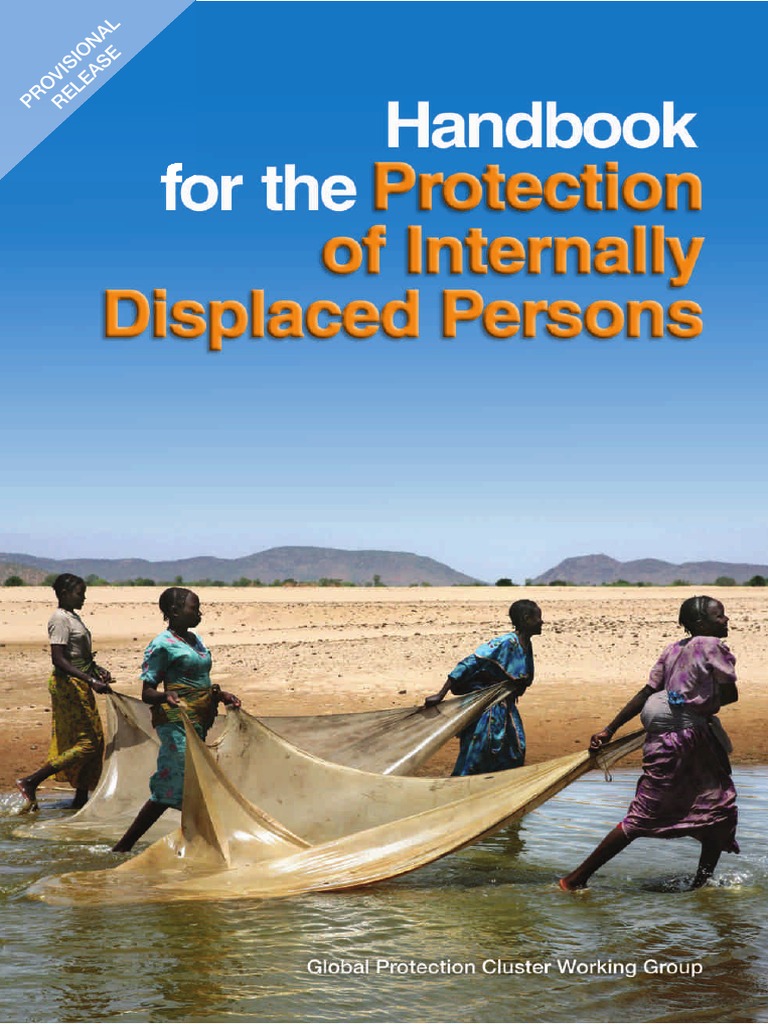 Handbook For The Protection of IDPs | PDF | Internally Displaced Person ...