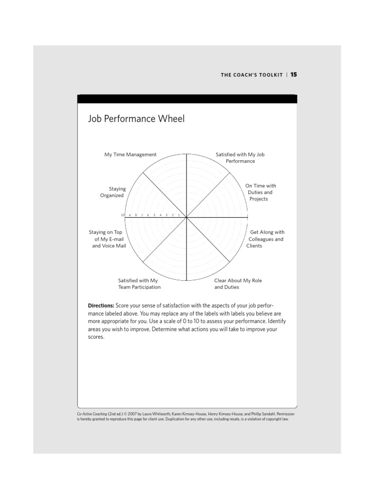 15 Job Performance Wheel | PDF
