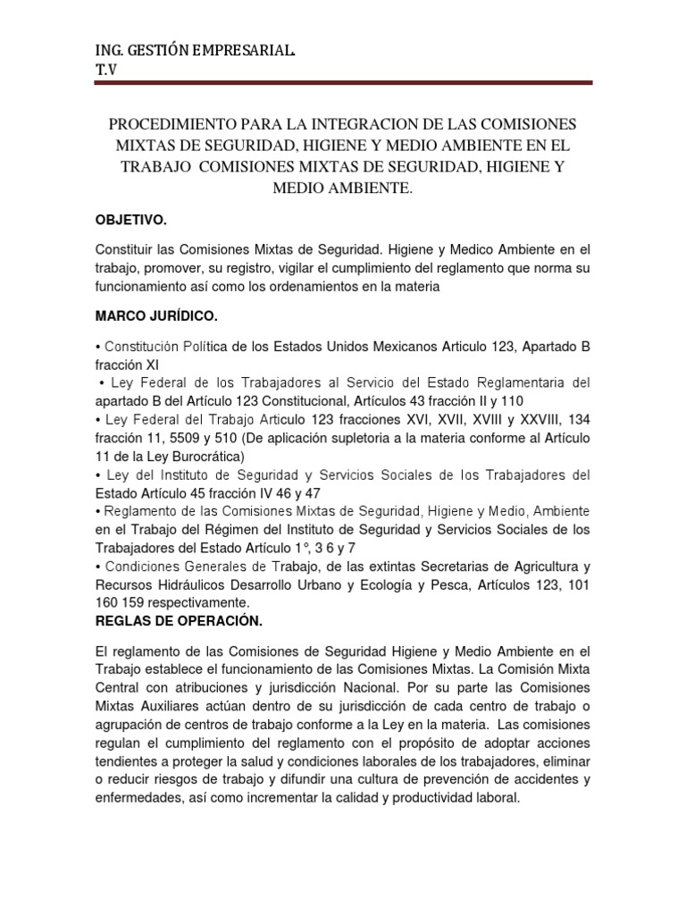 Integracion De Las Comisiones Mixtas De Seguridad Descargar Gratis