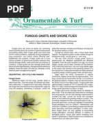 HRAC Mode of Action Classification 2024 | PDF | Agricultural Chemicals ...