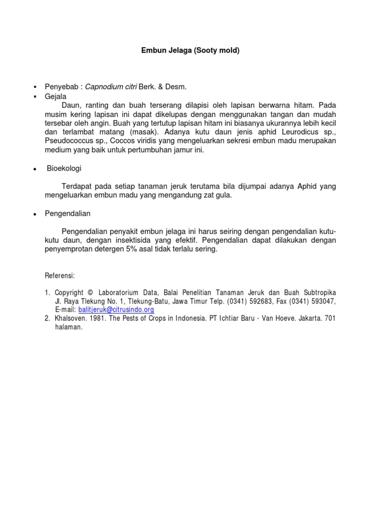 Embun Jelaga | PDF | Griya & Taman | Kesehatan Holistik