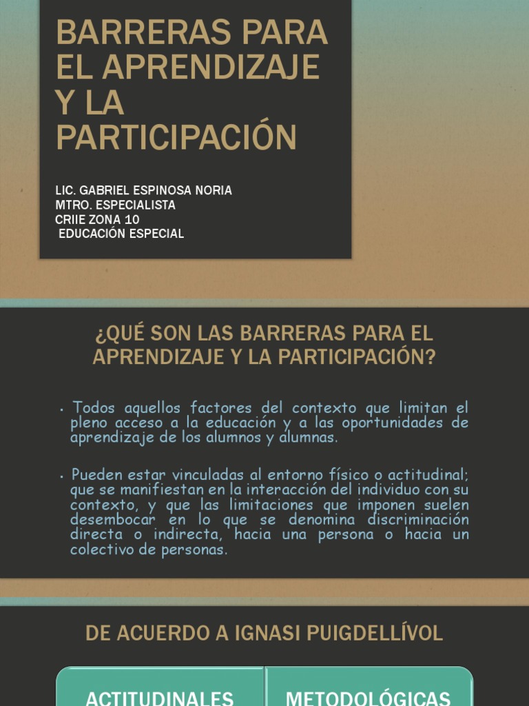 Barreras para El Aprendizaje y La Participación | PDF | Invalidez | Aprendizaje