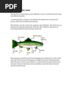 Fish Muscular System Overview | PDF | Skeletal Muscle | Fish