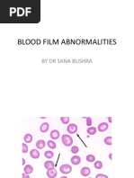 Understanding Stress Leukograms in Pets | PDF | White Blood Cell ...