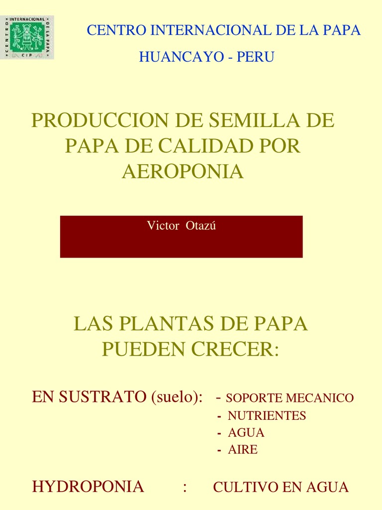 Producción de Semilla de Papa de Calidad Por Aeroponia | PDF | Patata | Horticultura y jardinería