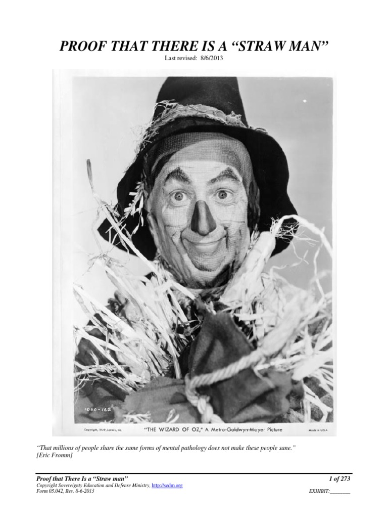 Straw Man | PDF | Article One Of The United States Constitution ...