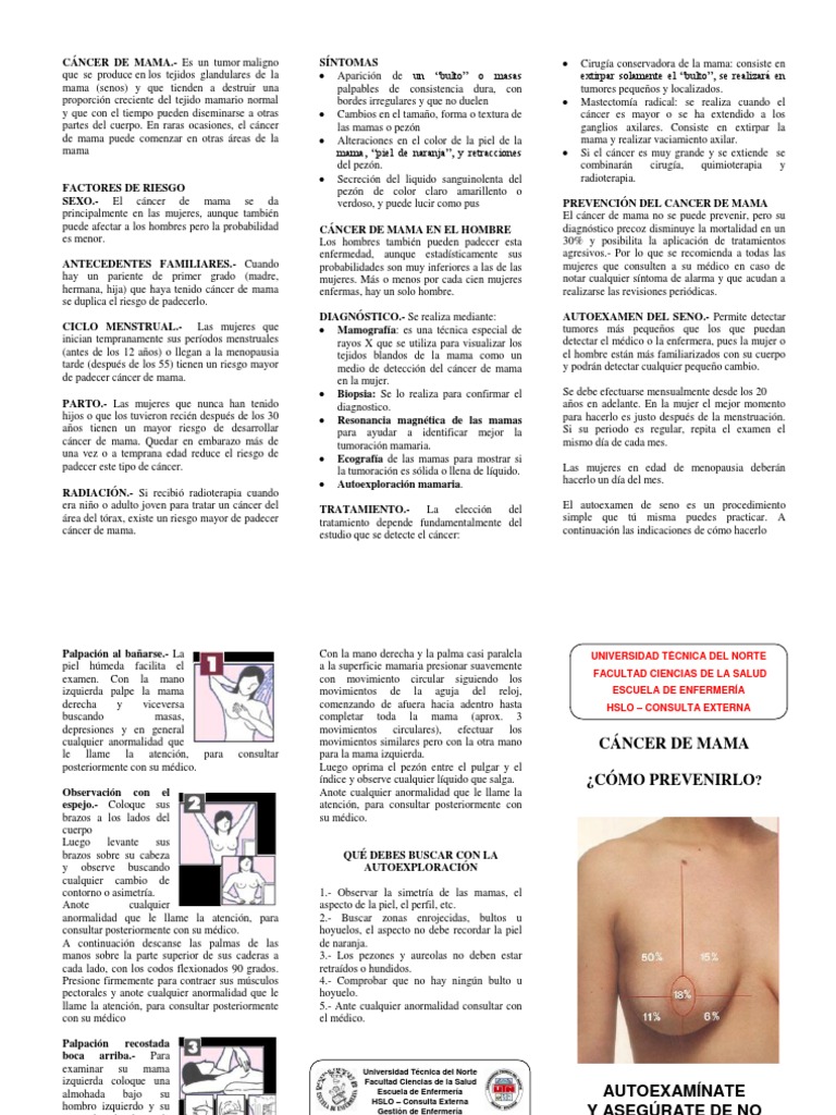 Triptico Cancer de Mama | PDF | Cáncer de mama | Pecho