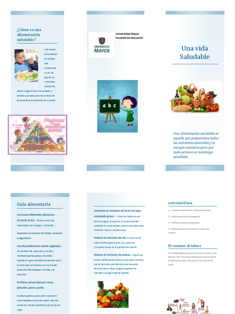 Triptico Vida Saludable | PDF