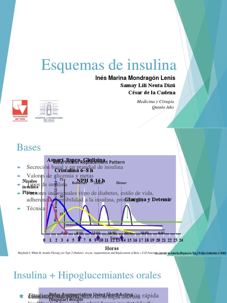 Esquemas de Insulina | PDF