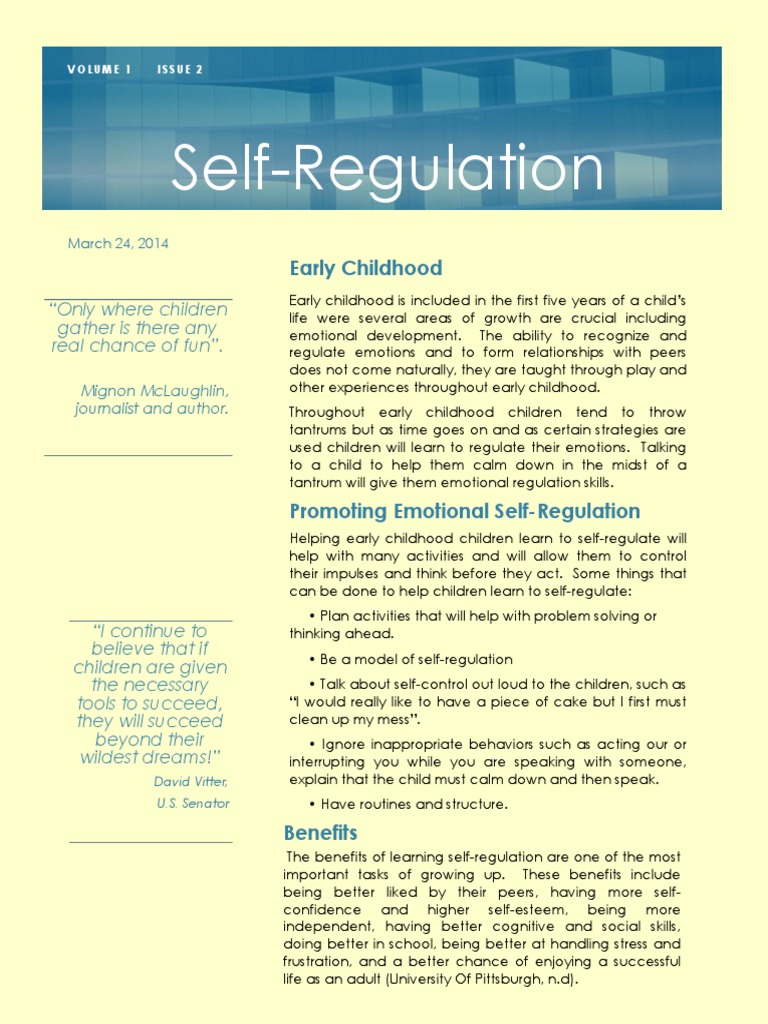 Self Regulation | PDF