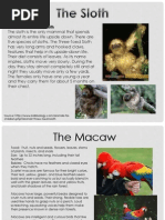 Free DOPE Bird Personality Test PDF | PDF | Birds | Citation