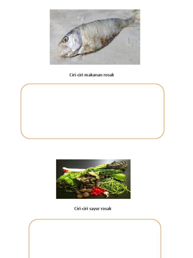 Sains Tahun 6 - Makanan Rosak | PDF