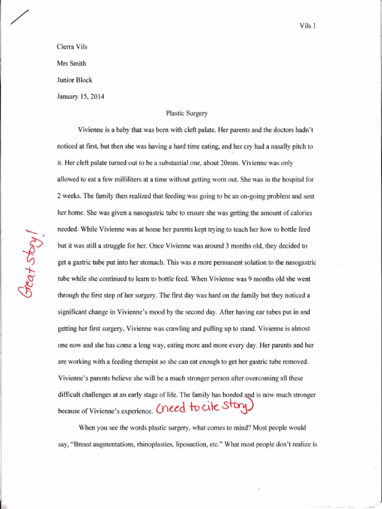 Persuasive Paper | PDF | Plastic Surgery | Body Modification