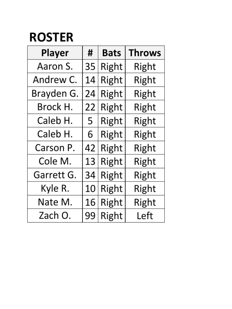 Team Roster: Player Stats Overview | PDF | Sports & Recreation