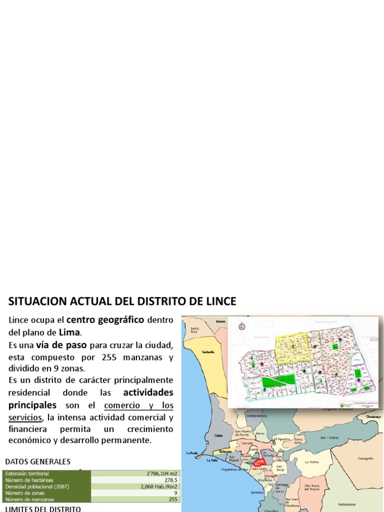 Situacion Actual Lince | PDF | Derecho