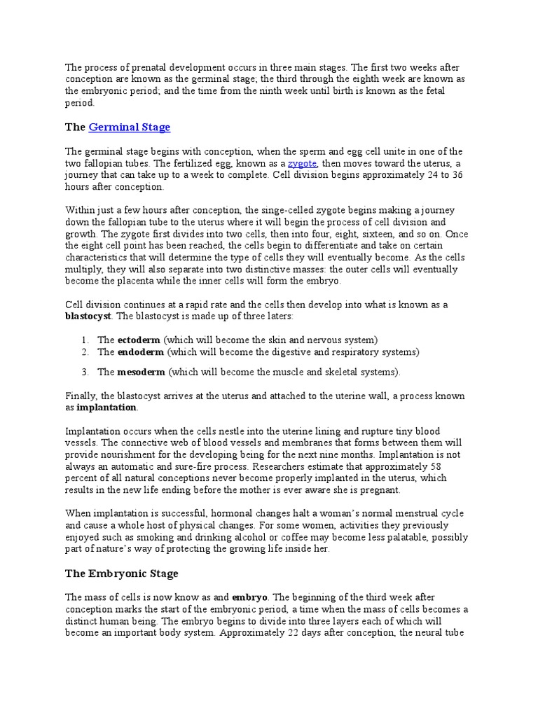 The Process of Prenatal Development Occurs in Three Main Stages | PDF ...