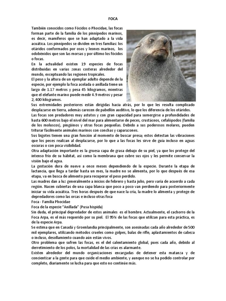 Foca | Descargar gratis PDF | Conduccion termica | Calor