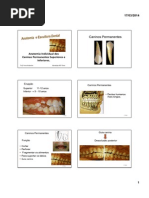 Anatomia Dentária dos Caninos | PDF | Dente humano