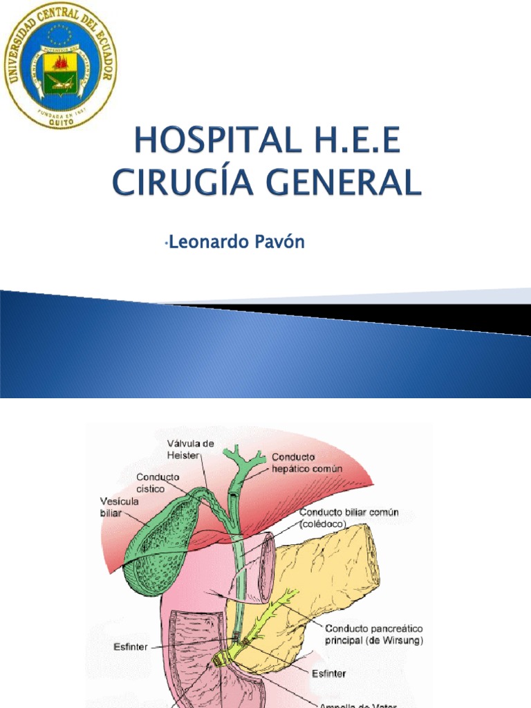 Colelitiasis, Coledocolitiasis, Colangitis Aguda. | PDF | Órgano ... Colelitiasis, Coledocolitiasis, Colangitis Aguda. | PDF | Órgano ...