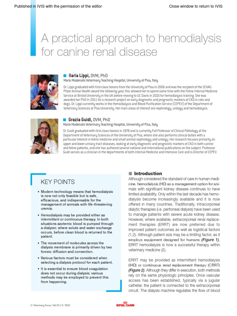 A Practical Approach To Hemodialysis For Canine Renal Disease | PDF ...