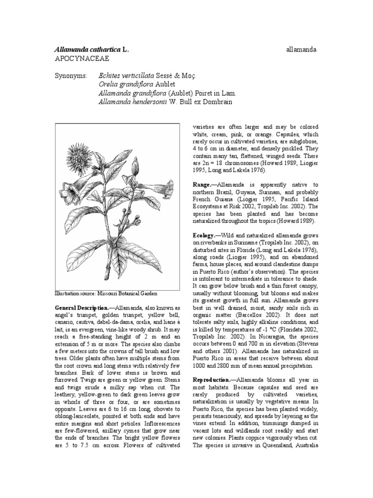 Characteristics and Invasiveness of Allamanda cathartica (Golden ...